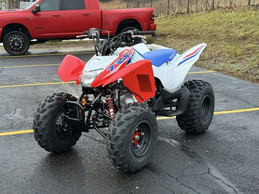 2026 Honda® TRX250X for sale in Medina, OH