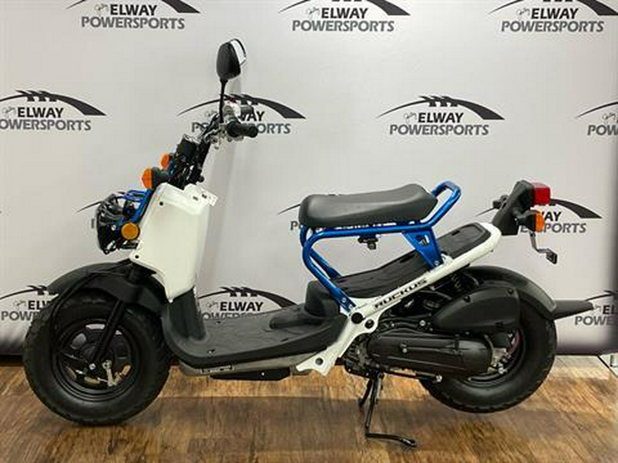 2023 Honda Ruckus for sale in Greeley, CO