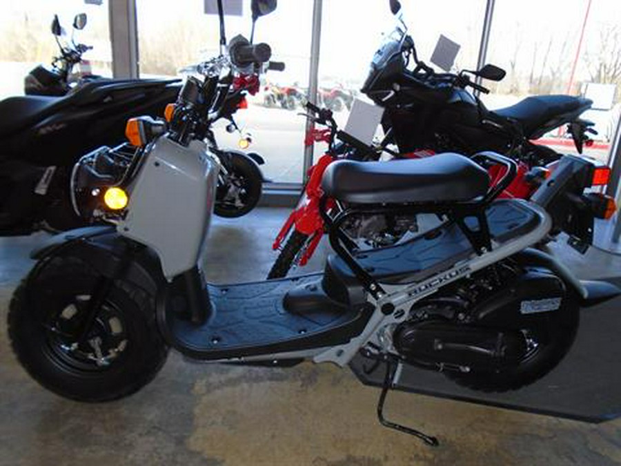 2022 Honda Ruckus for sale in Austin, MN
