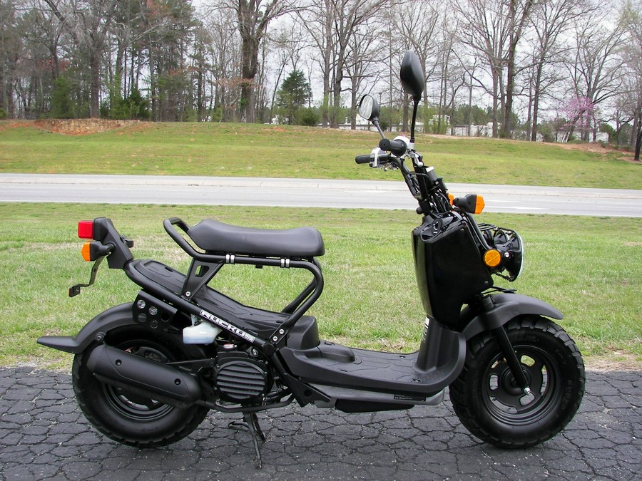 2024 Honda Ruckus for sale in Shelby, NC