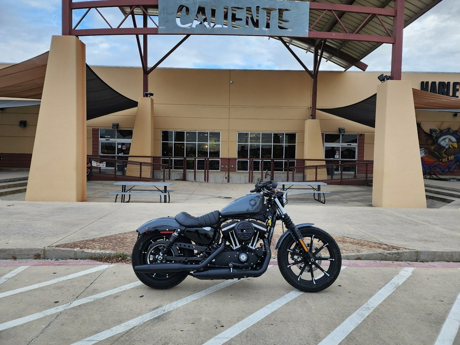 2022 Harley-Davidson Iron 883™ for sale in San Antonio, TX