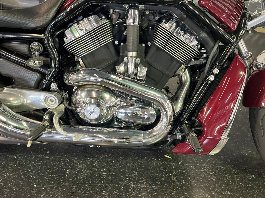 2006 Harley-Davidson Night Rod Brandy Wine Sunglo VRSCB for sale in ...
