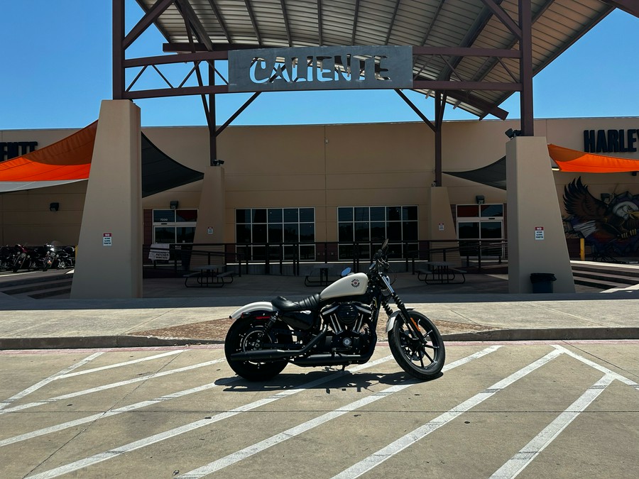 2022 Harley-Davidson Iron 883™ for sale in San Antonio, TX