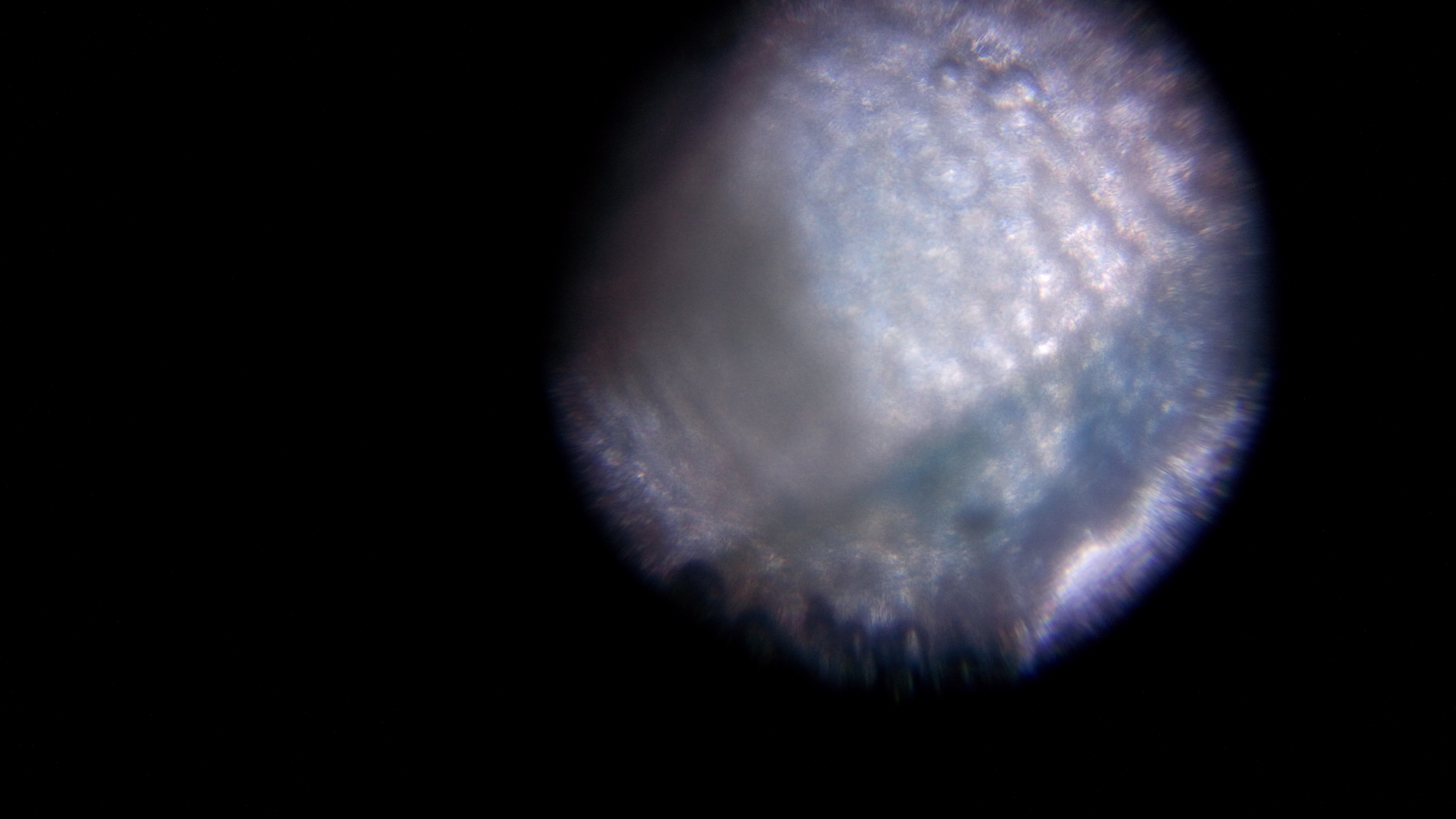 Root plasma membrane integrity was localized by EVANS BLUE staining ...