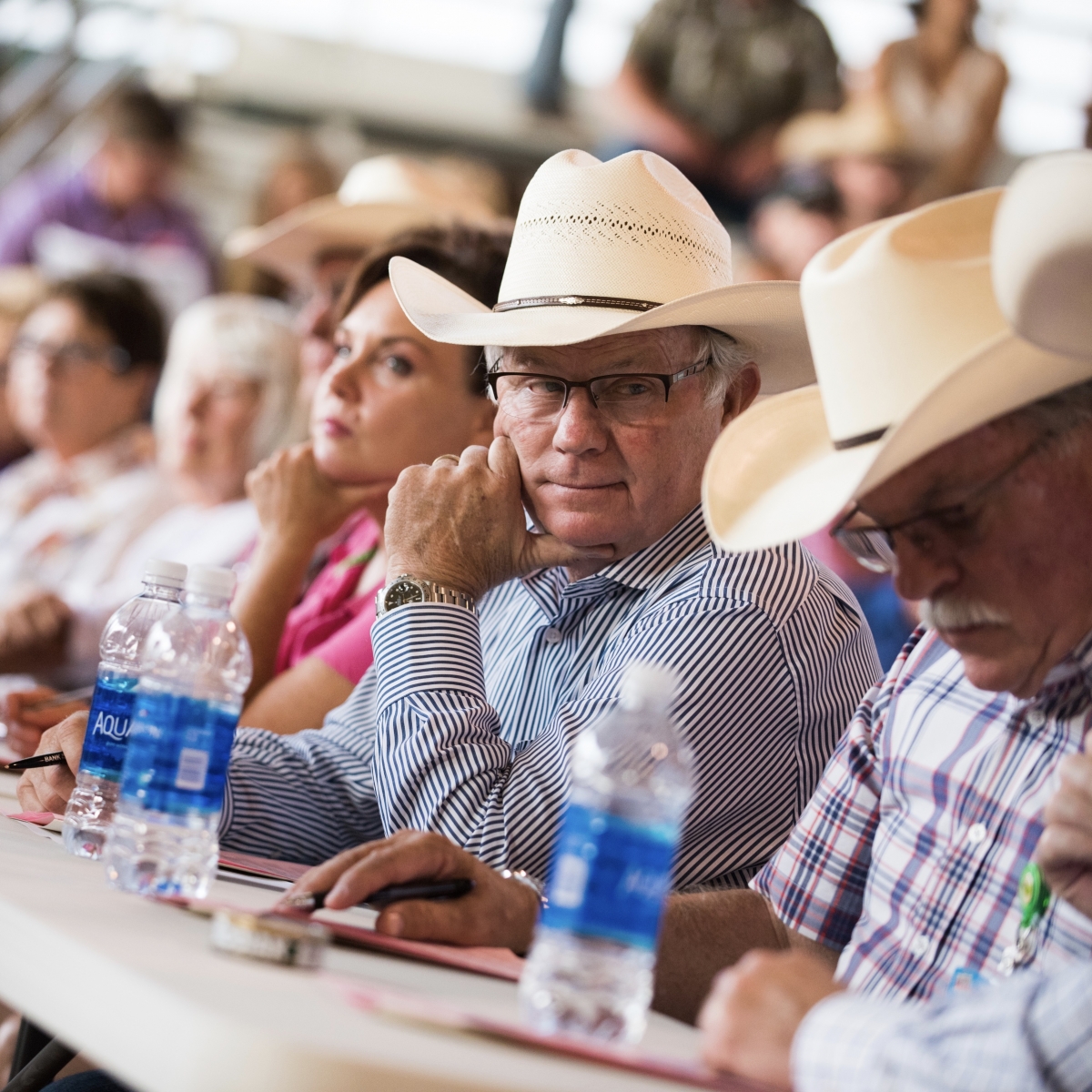 Livestock | California Mid-State Fair