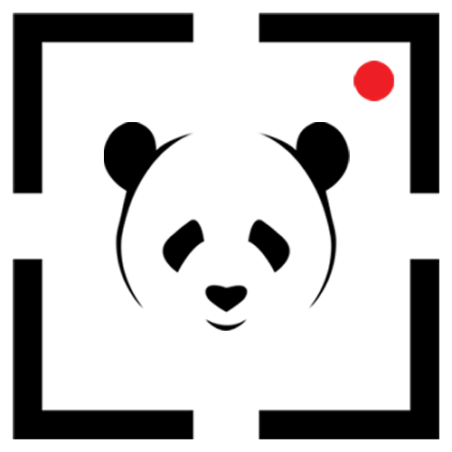 Video content creation company | CraftiPanda