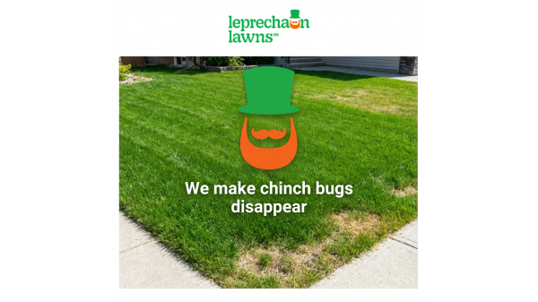 Calgary Chinch Bug Control 2026: Expert Program With Proven Results ...