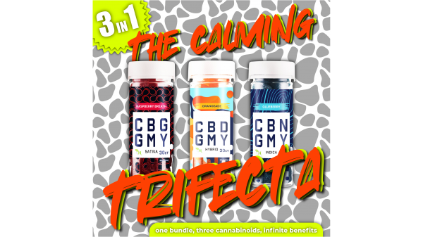 Orlando, United States - December 26, 2023