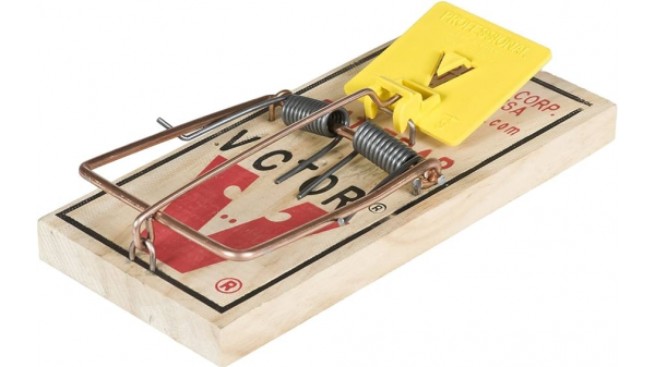 Rat Trapping Experts Recommend Proofing, Sanitizing for Effective ...