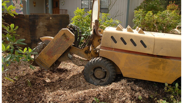 User | bentoncourier.com - Riverton, UT Tree Branch & Stump Removal ...