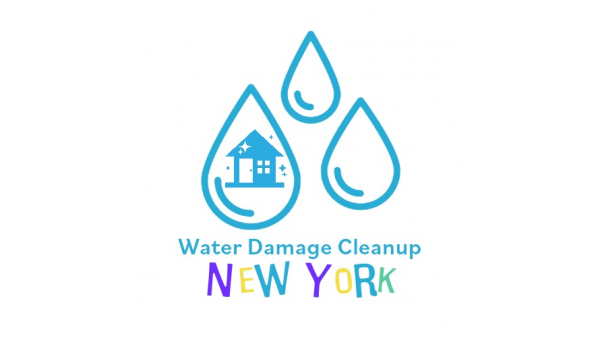 Water Damage Cleanup New York Launches Expert Water Damage Restoration ...