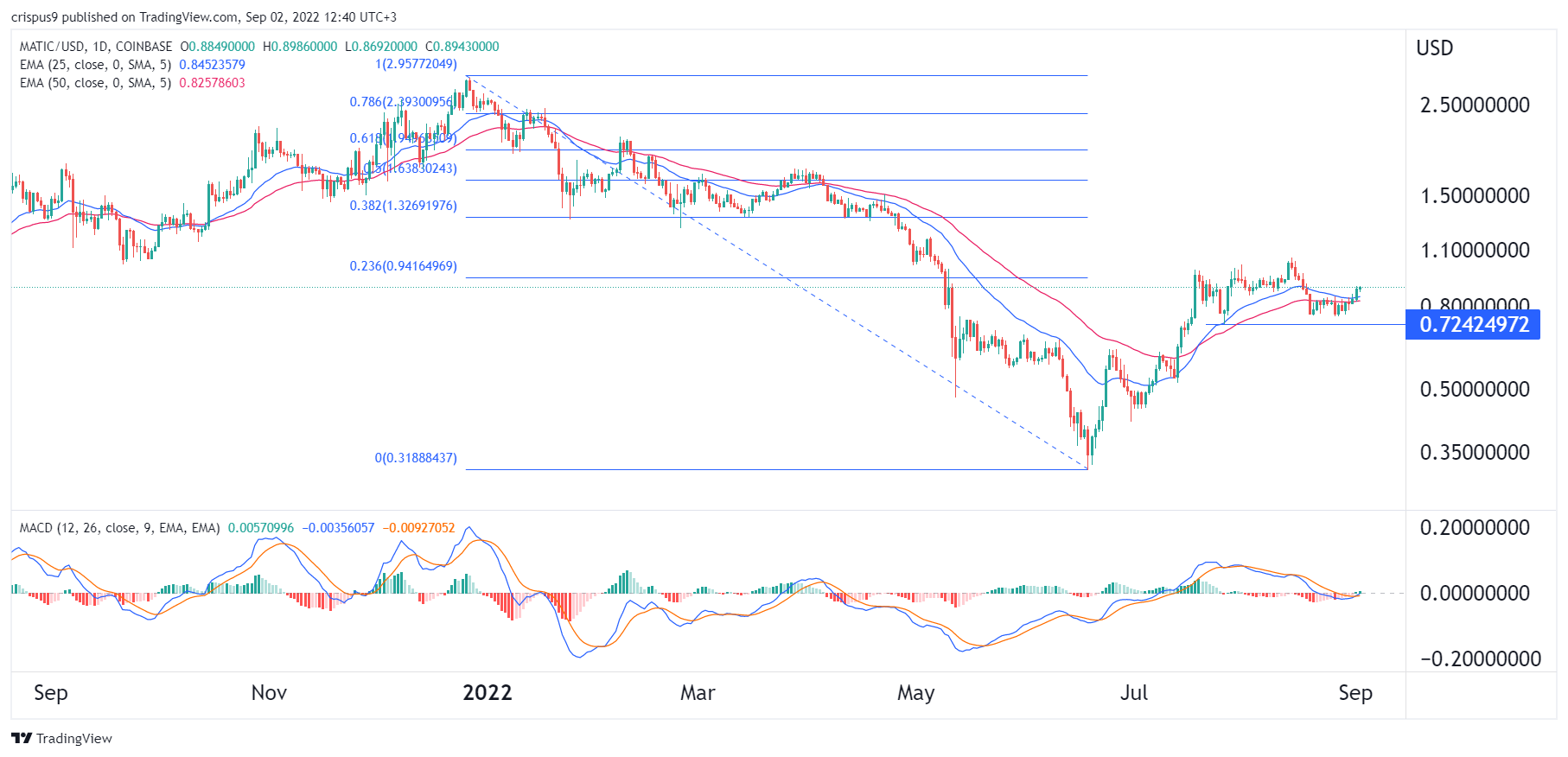 MATIC Price Prediction: Will Polygon Thrive After the Merge?