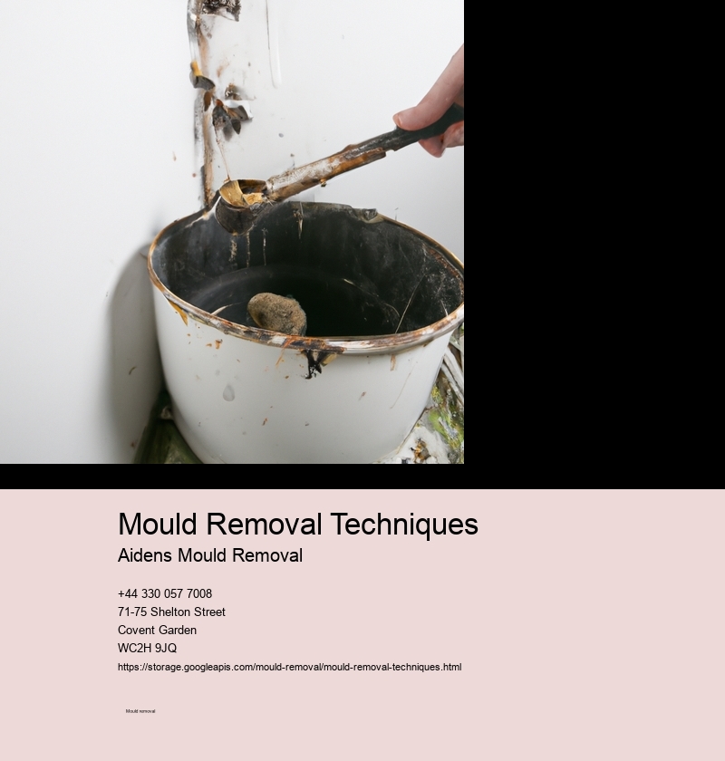 Mould Removal Techniques