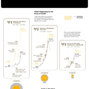 Dividende 2025: Ce sunt si cum se calculeaza dividendele?
