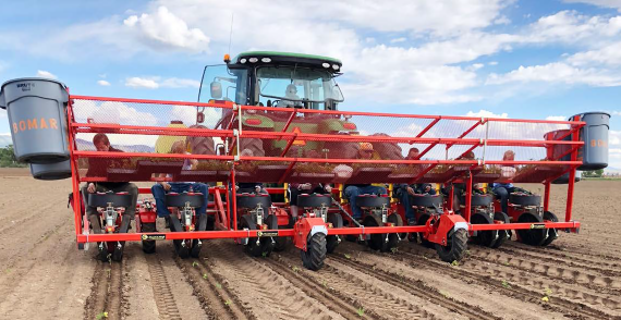 Which Row Crop Cultivator Techniques Improve Soil and Crop Health ...