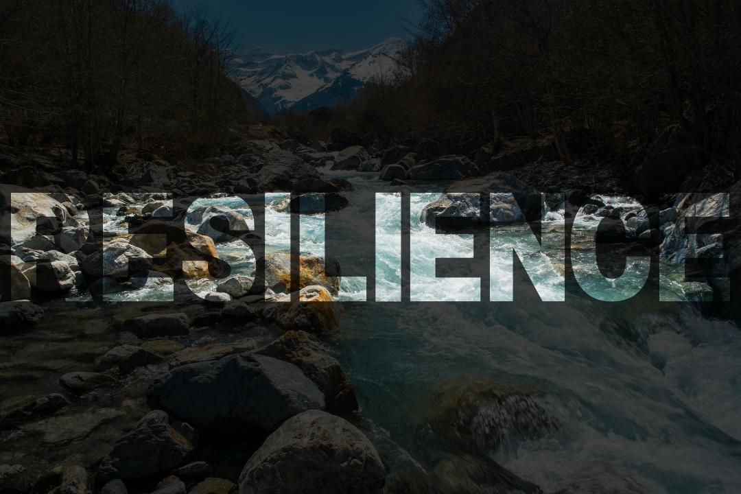 Understanding Resilience: What It Is and Why It Matters