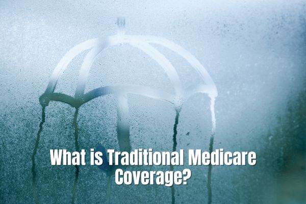 What is Traditional Medicare Coverage?