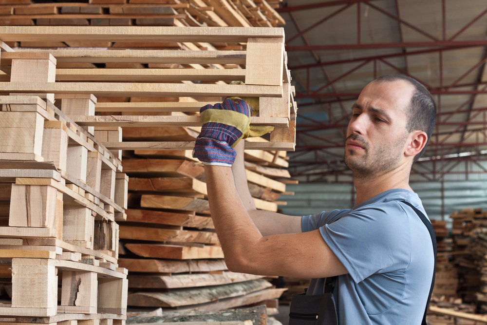 pallets de madera Arlog