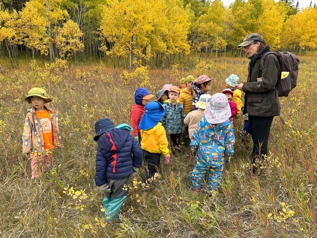 Wise Kids Academy - Forest School