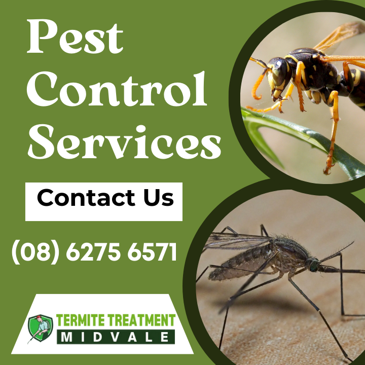PESTS THAT MAY BE BUGGING YOUR PETS