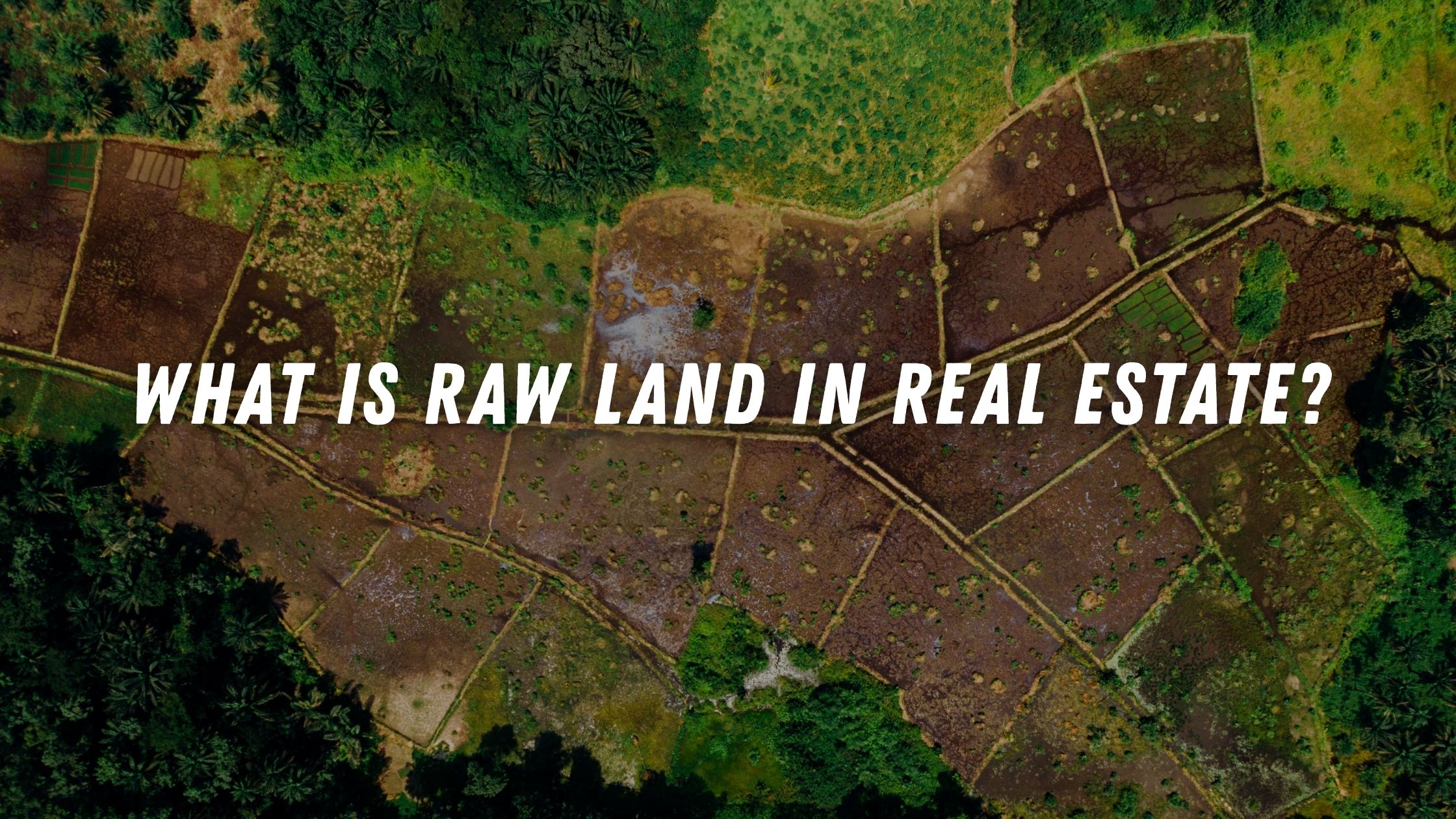 What Is Raw Land in Real Estate