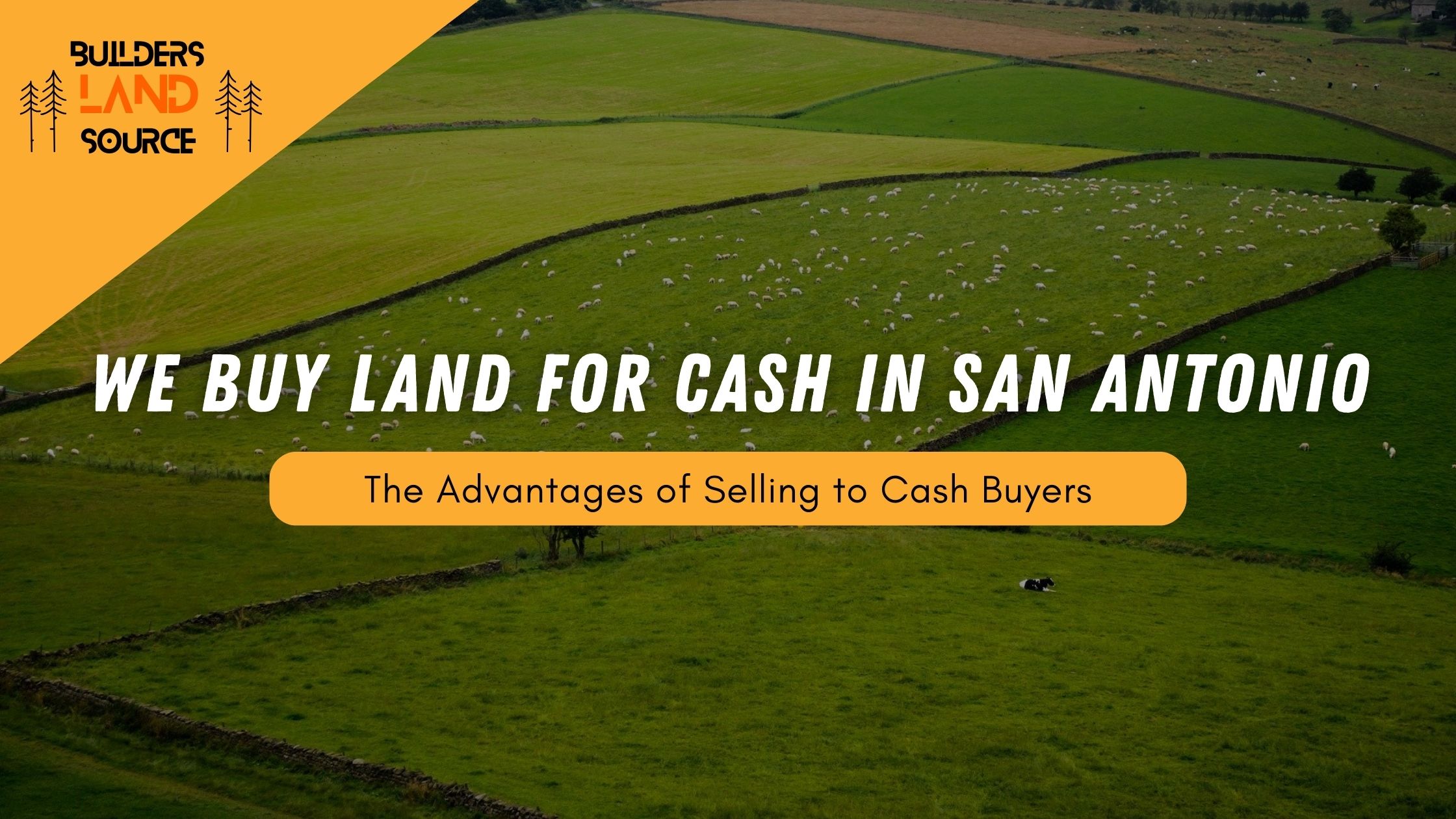 We Buy Land for Cash in San Antonio: The Advantages of Selling to Cash ...