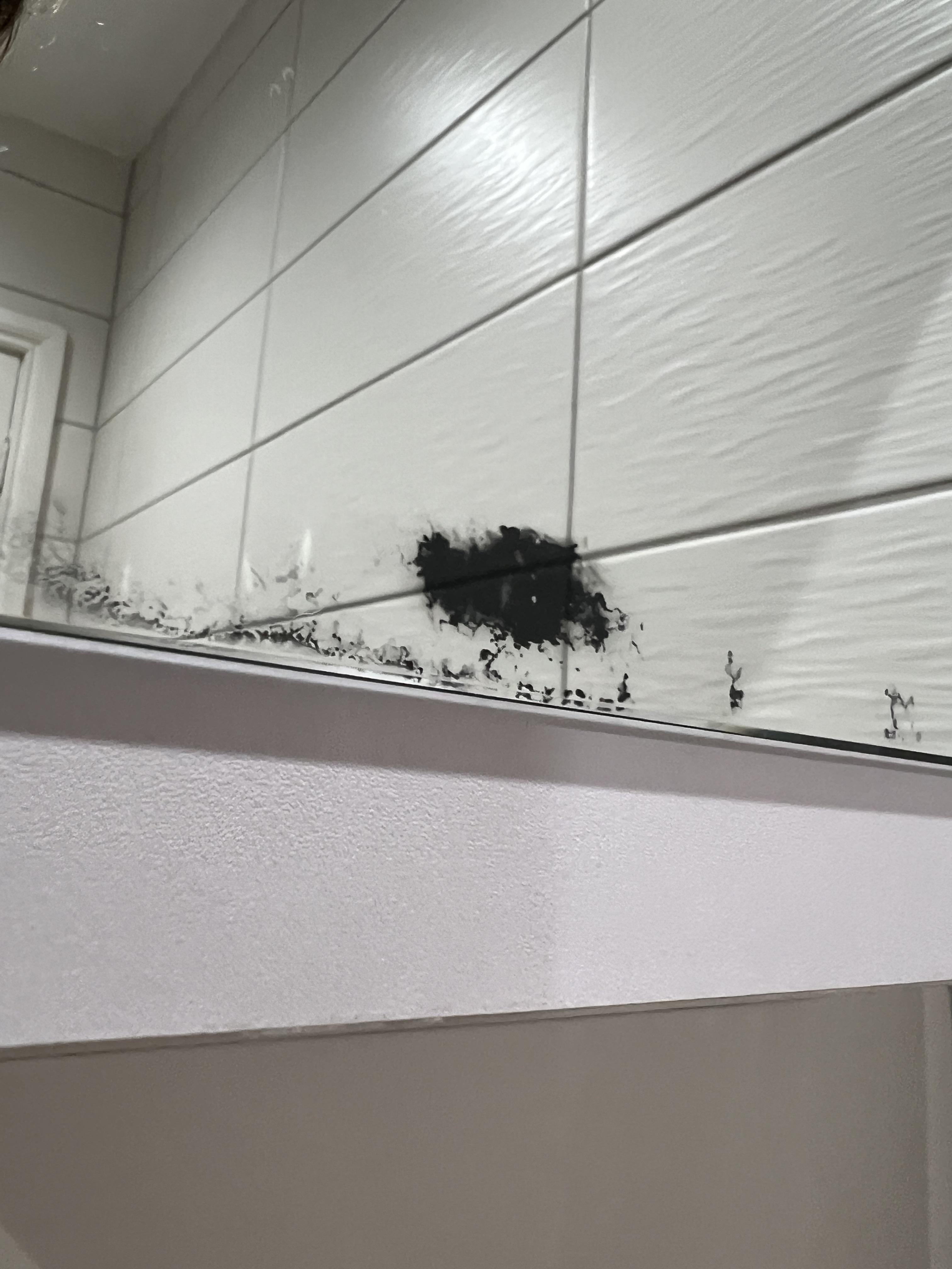 There's No Way to Remove Black Mold on Mirror! What's the Solution?