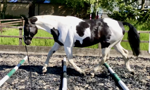 What Happens When You Skip Core Training?