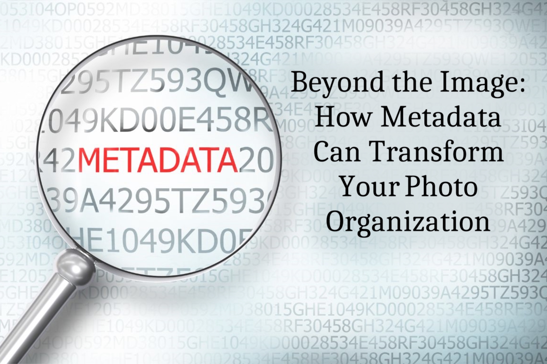 Beyond the Image: How Metadata Can Transform Your Photo Organization