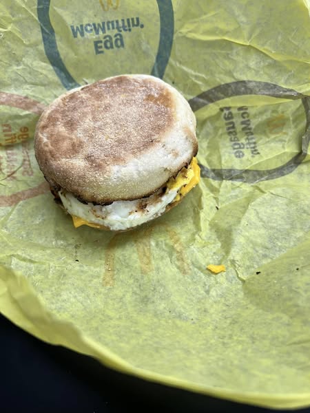 The Independence Menu: How Childhood Freedom Shapes Business Leadership ...