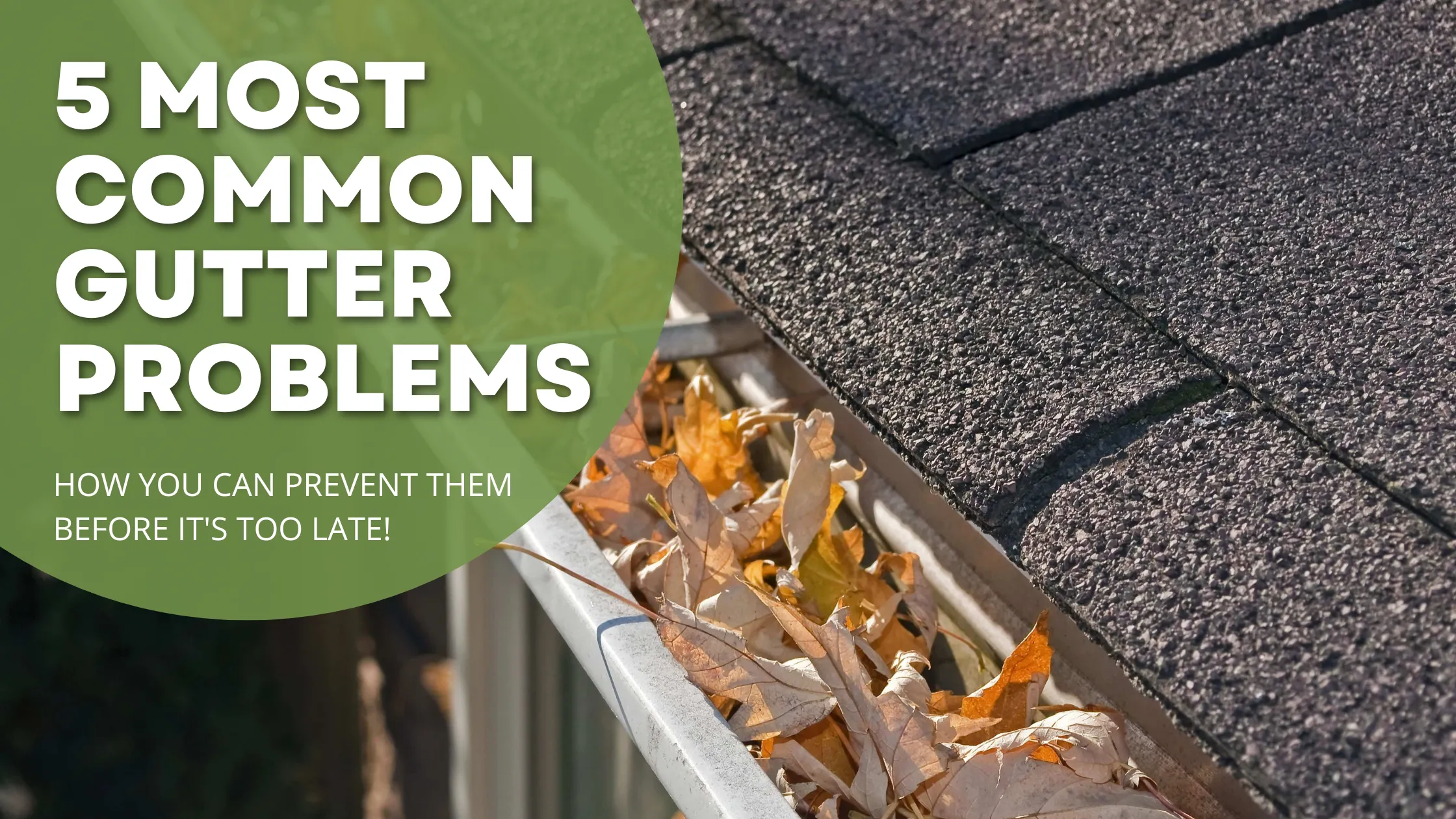 The 5 Most Common Gutter Problems and How You Can Fix Them Before It's ...