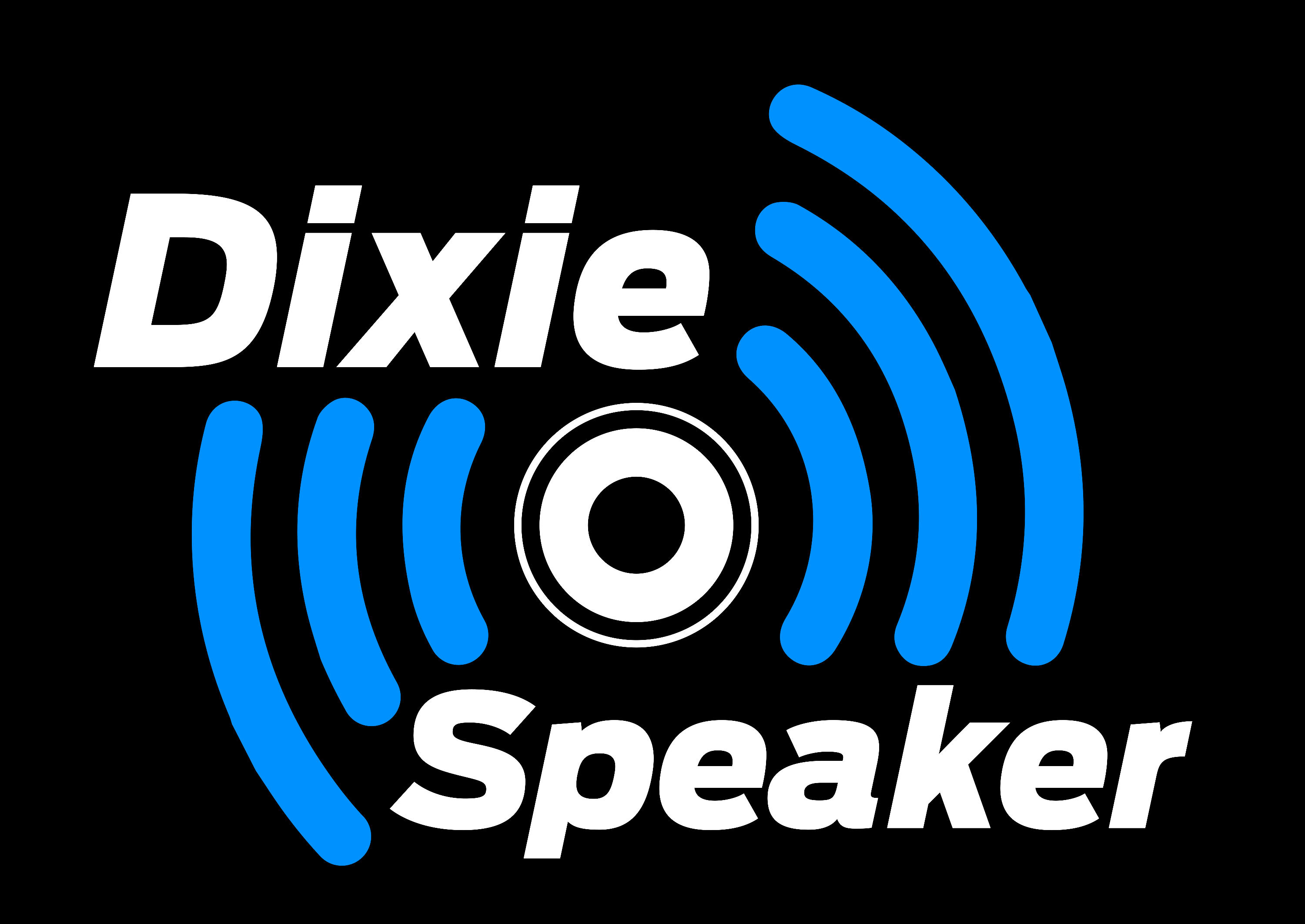 Speaker Rebuild Services | Dixie Speaker