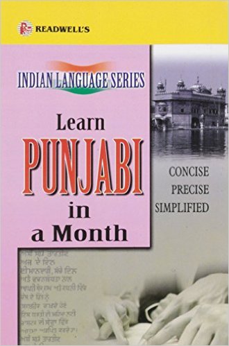 Books To Learn Punjabi Through English| Multibhashi