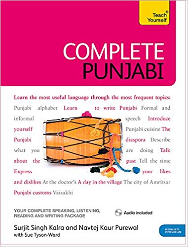 Books To Learn Punjabi Through English| Multibhashi