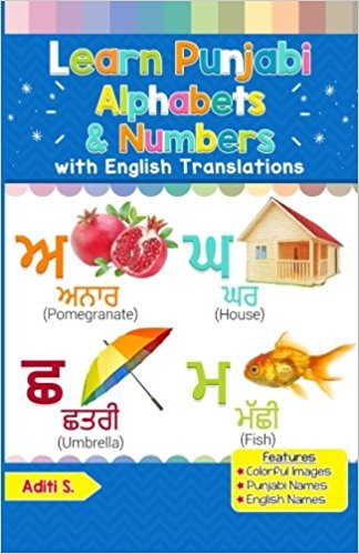 Books To Learn Punjabi Through English| Multibhashi