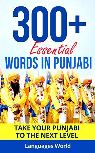 Books To Learn Punjabi Through English| Multibhashi