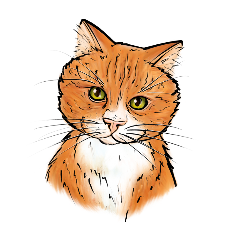 Meet Hobbes // Mind Your Design