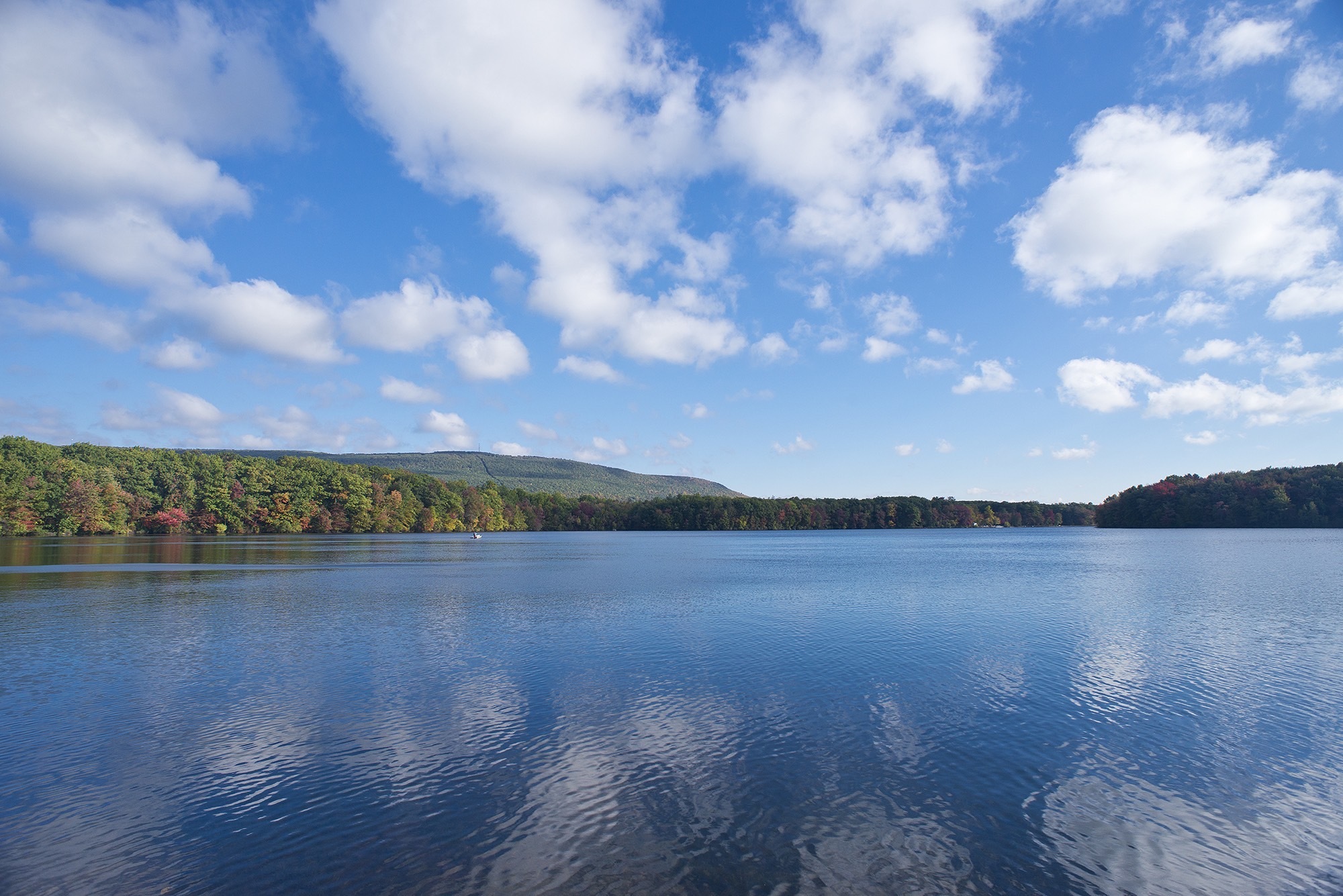Vanishing Landscapes: Preserving Open Space // Mind Your Design