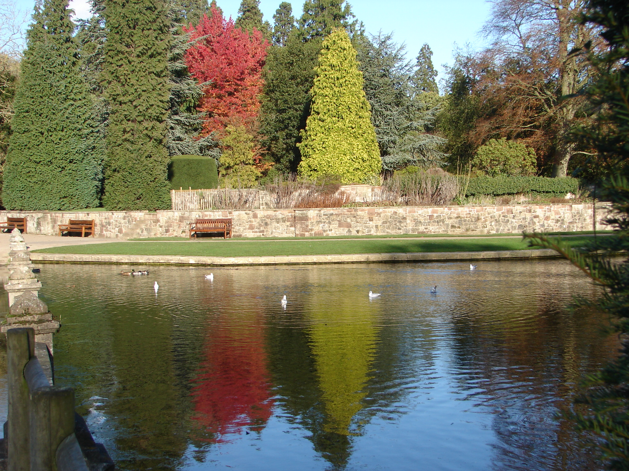 Coombe Abbey Park | Places to Visit in Coventry