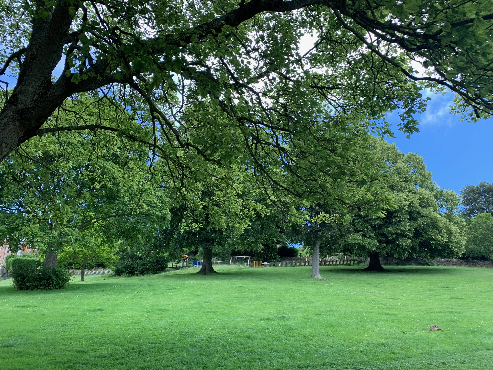 Daisy Bank Park | Stroud Rocks