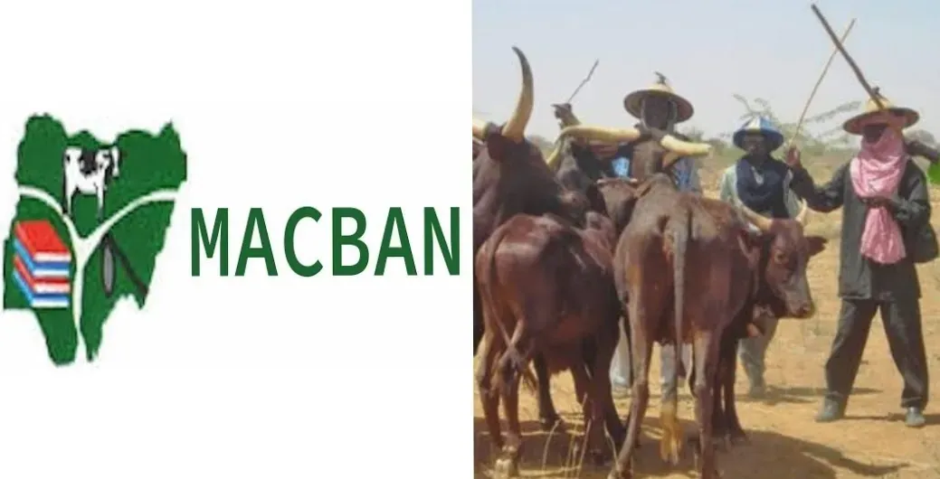 Why MACBAN can't be designated as terrorist organization – Ngelzarma
