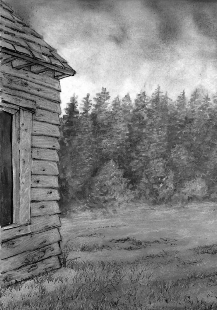 Liar, Liar, House on Fire! The Relationship Between Trees, Wildland ...