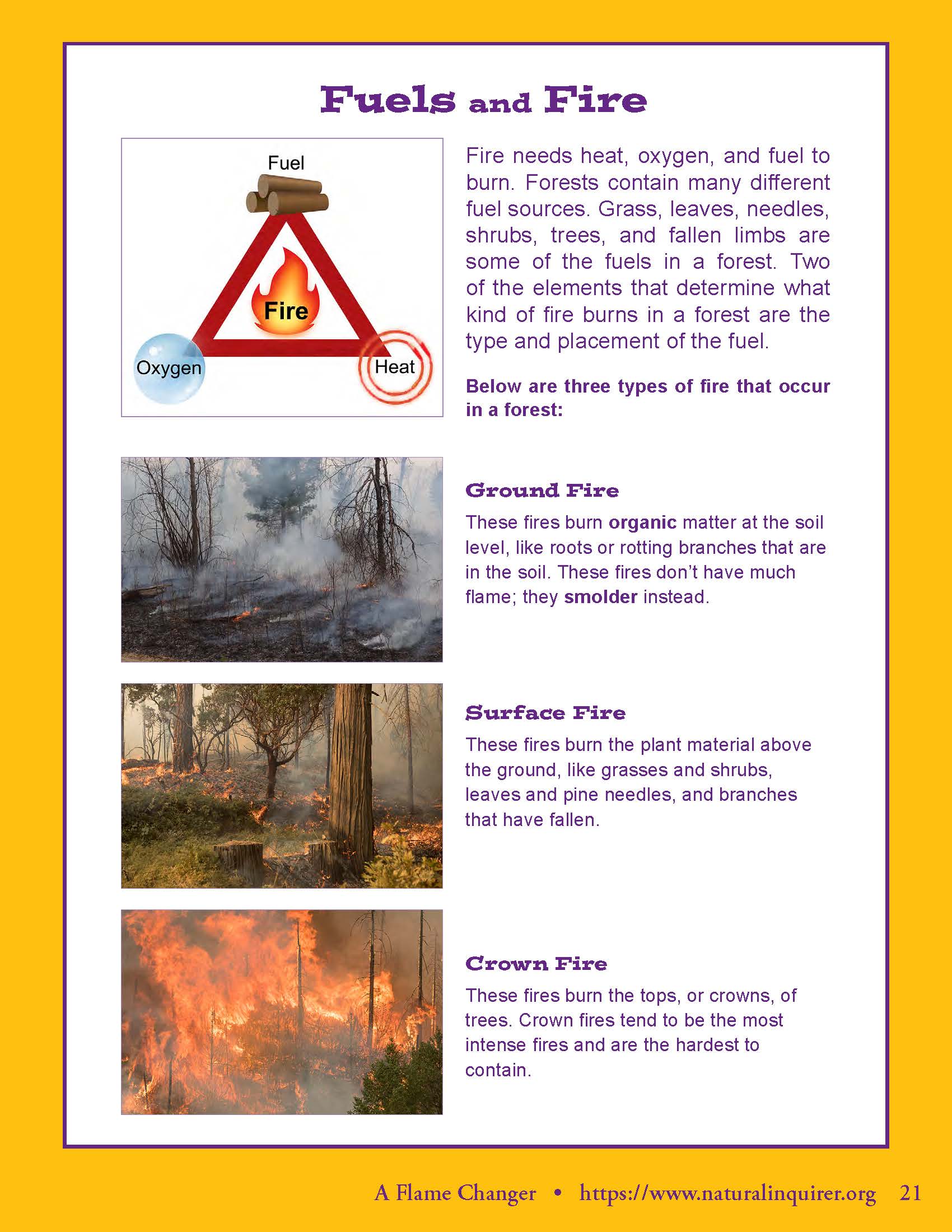 Spotlight - Fuels and Fire Fact Sheet - Natural Inquirer