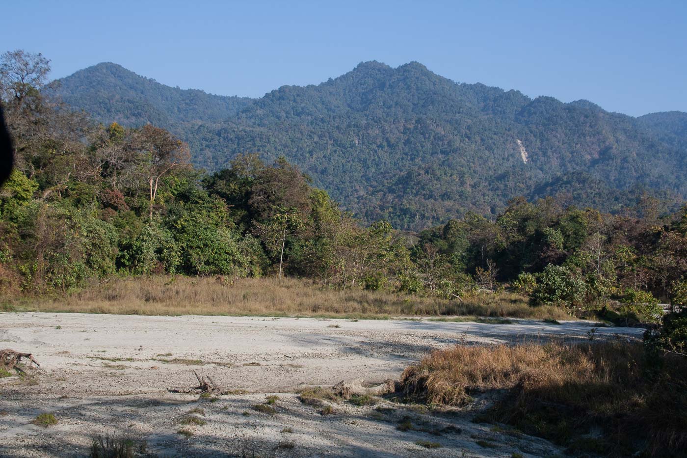 Nature Beyond | Manas National Park