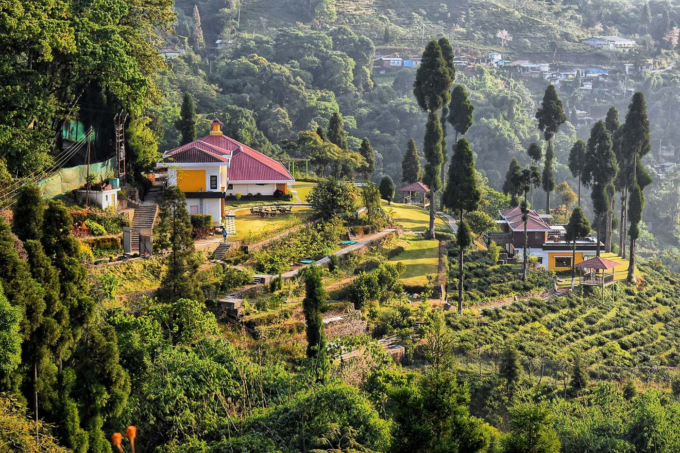 Nature Beyond | Chamong Tea Garden
