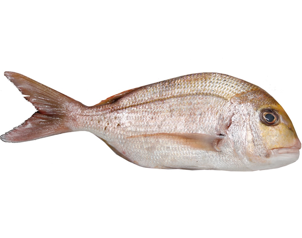 Pargo Fresco Vermelho | Neomaquina Supermercados