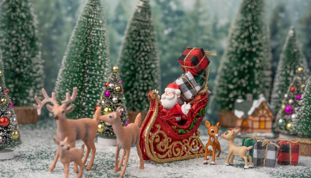 Essay Writing Contest | December 2024