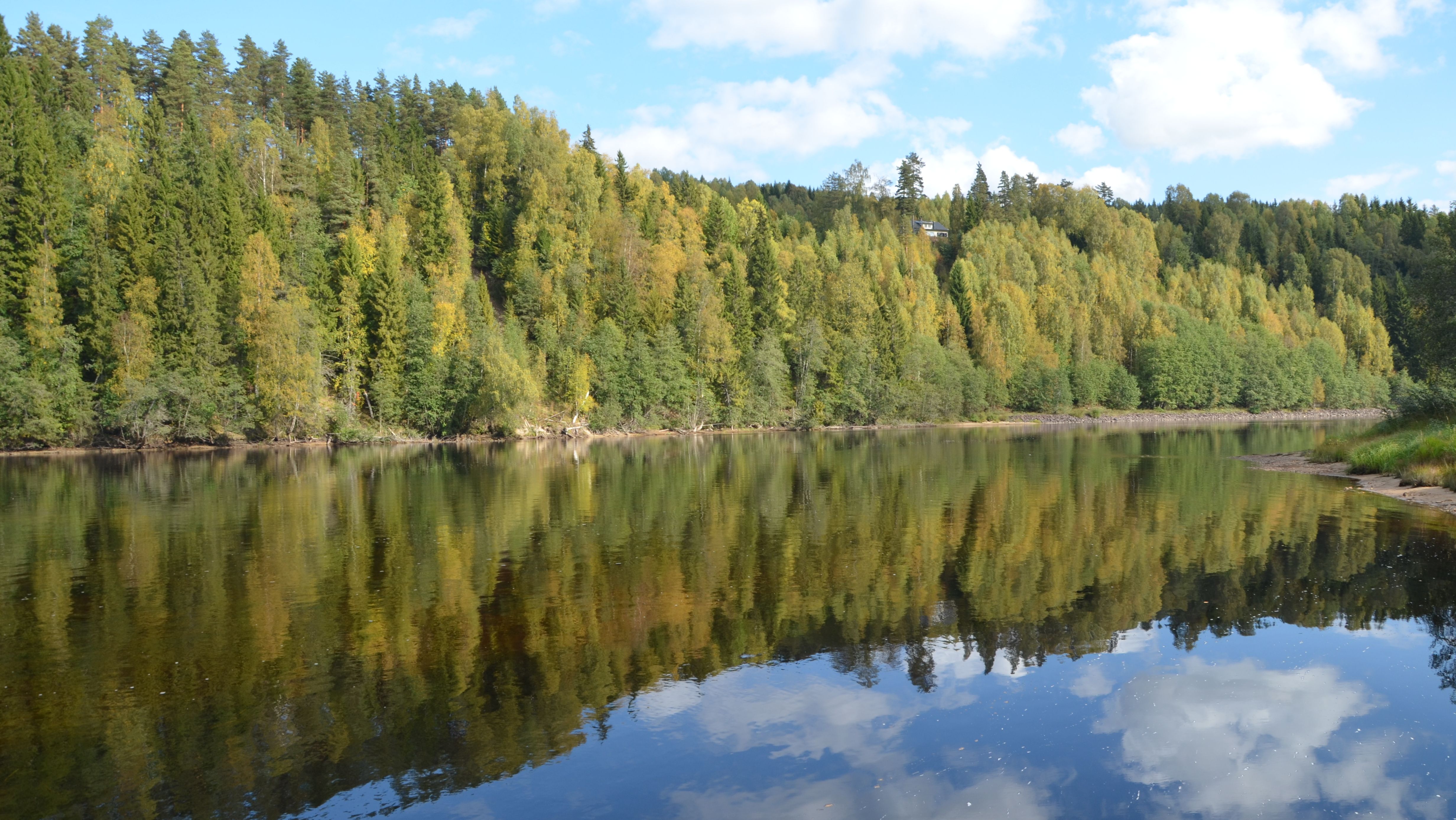 River Thrives Again After Dam Is Removed