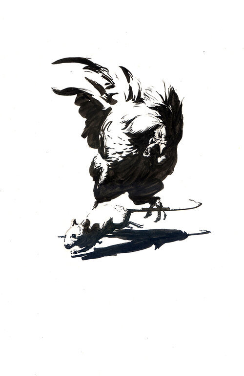 Study 2: Notan - 니지・저니