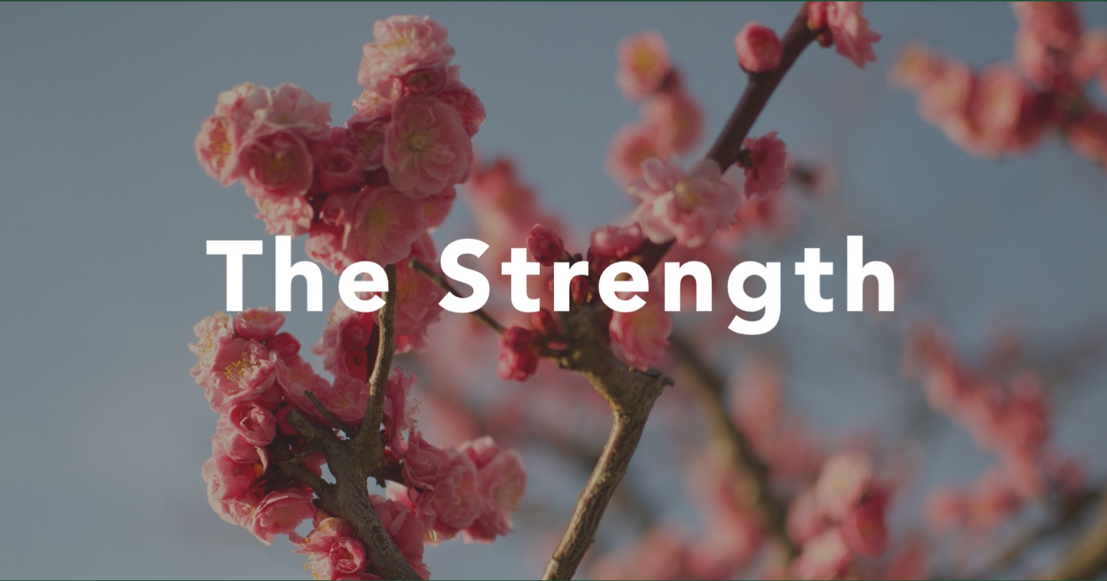 凡庸な強み | The Strength - tsunekichi | portfolio